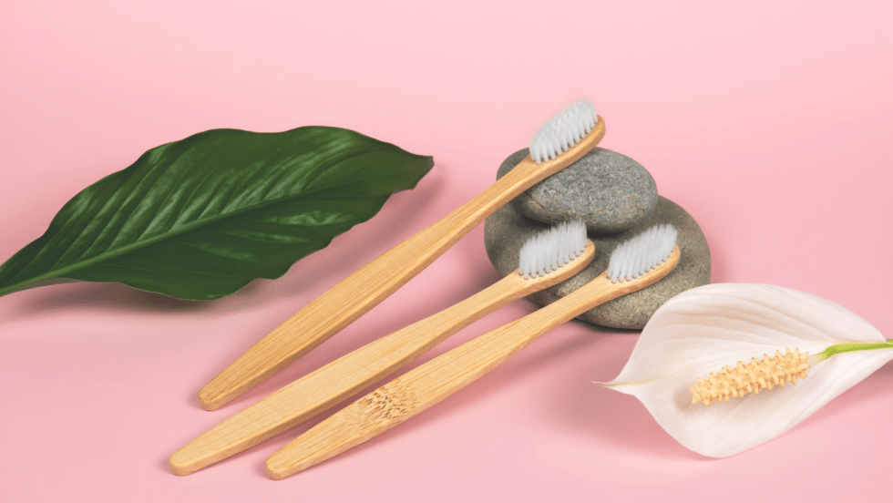 10 Must Have Items for Cleaning Your Teeth - Namboo toothbrush